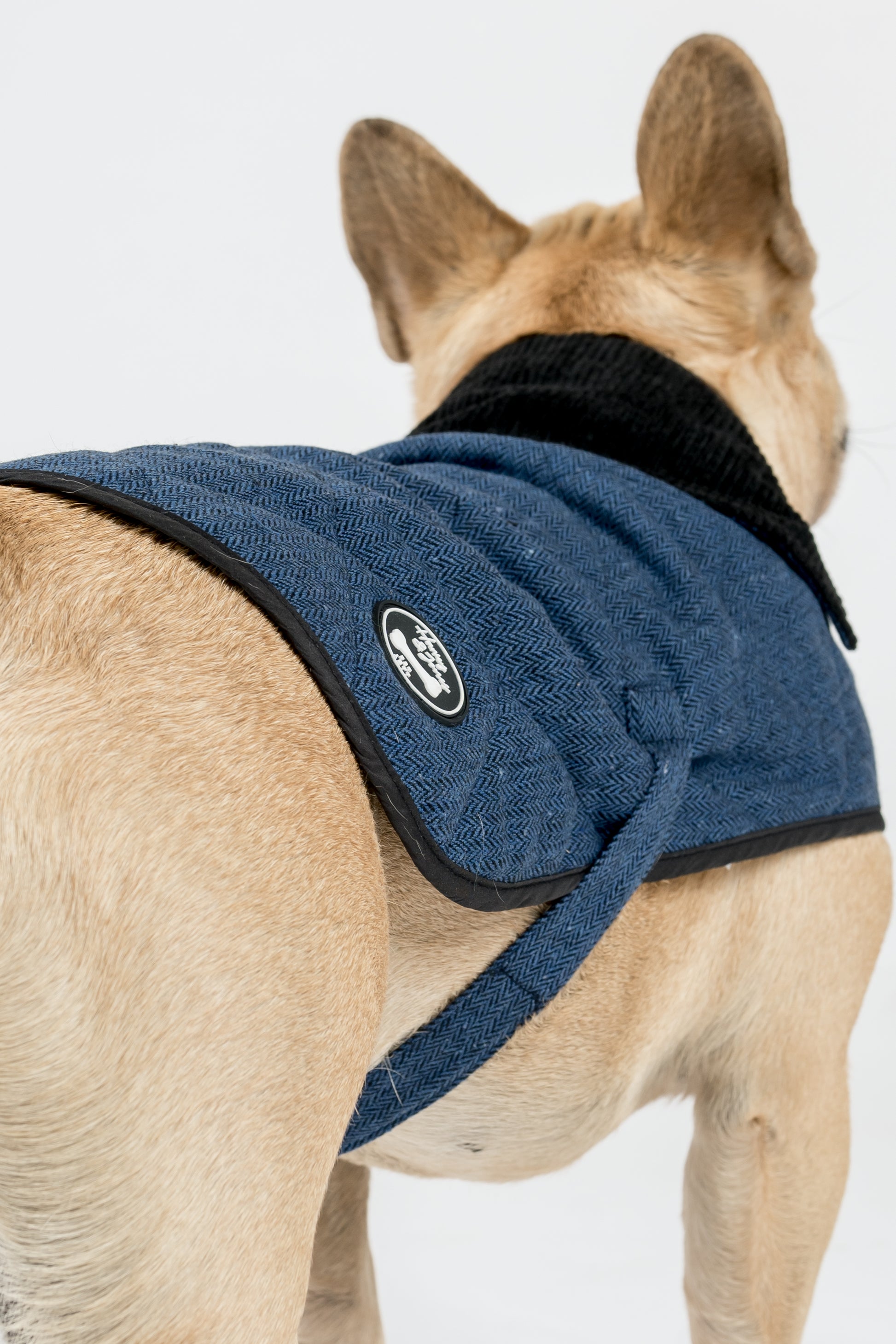 Doug Dog Coat – HarveyandJones